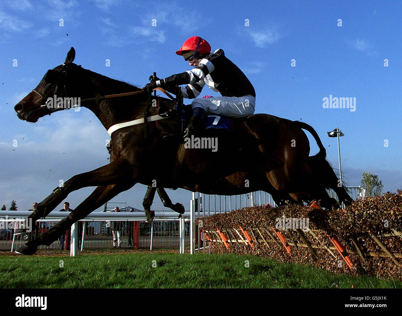 Carl john rafter reiten lord rochester cheltenham rennbahn -Fotos und ...