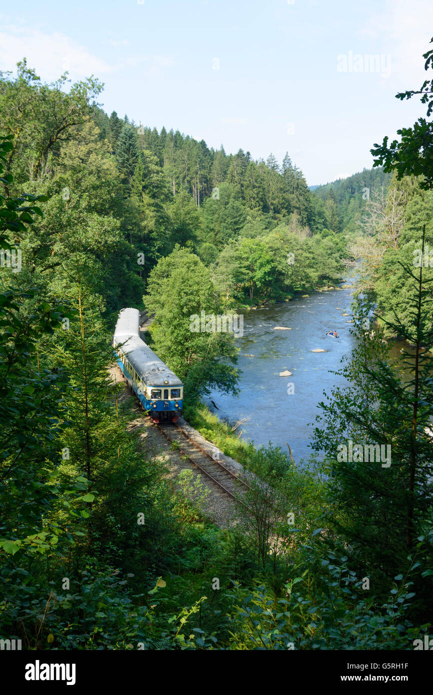 Fluss Schwarzer Regen an der Station Gumpenried - Asbach mit ...