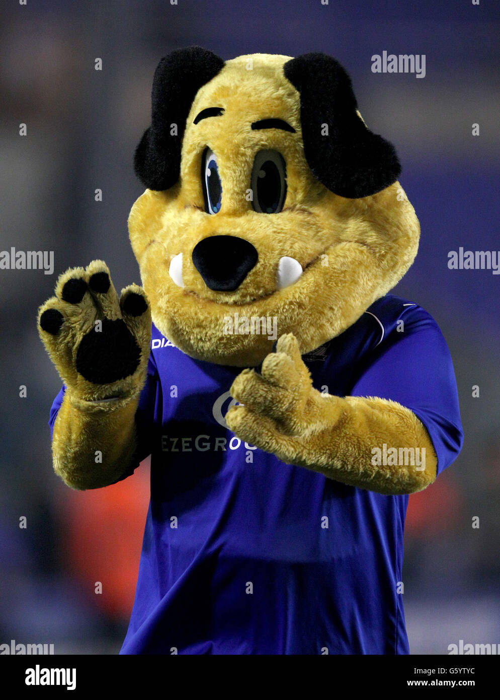 Birmingham city maskottchen beau brummie vor dem spiel -Fotos und ...