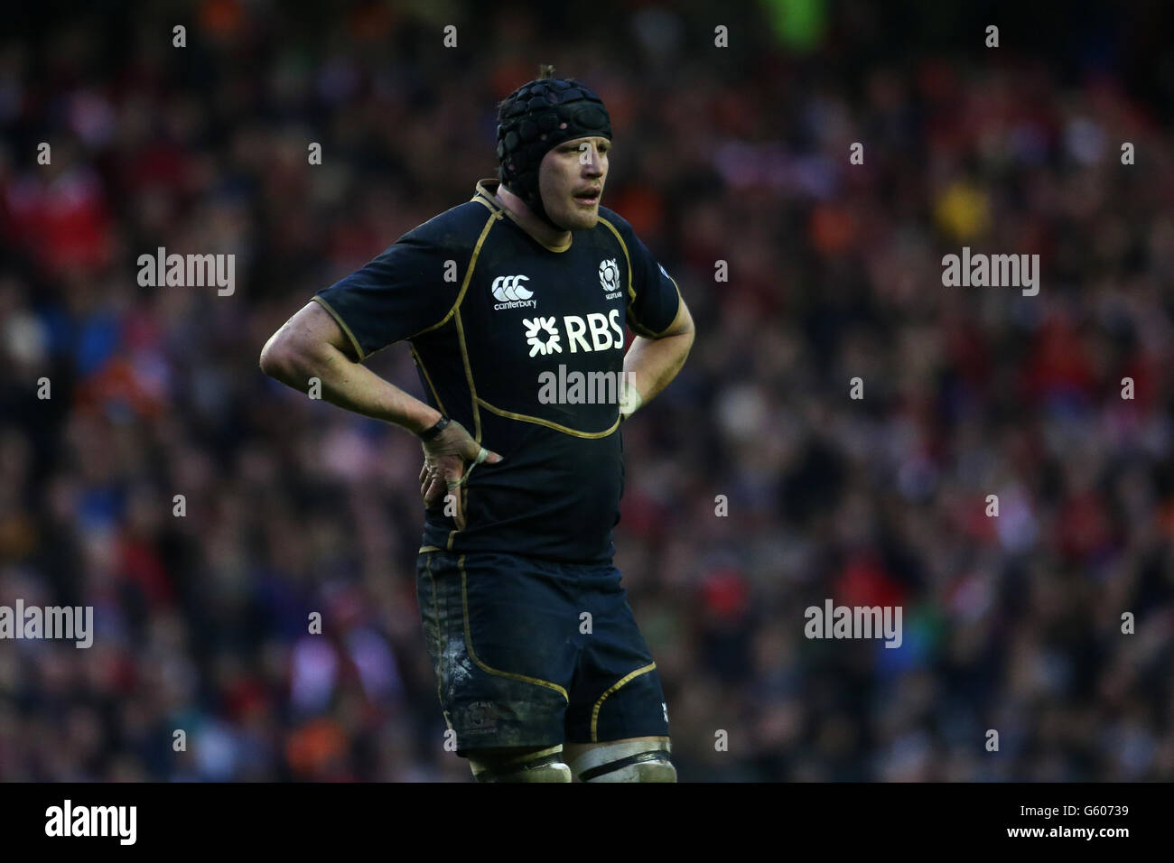 Rugby Union - RBS 6 Nations Championship 2013 - Schottland / Wales ...
