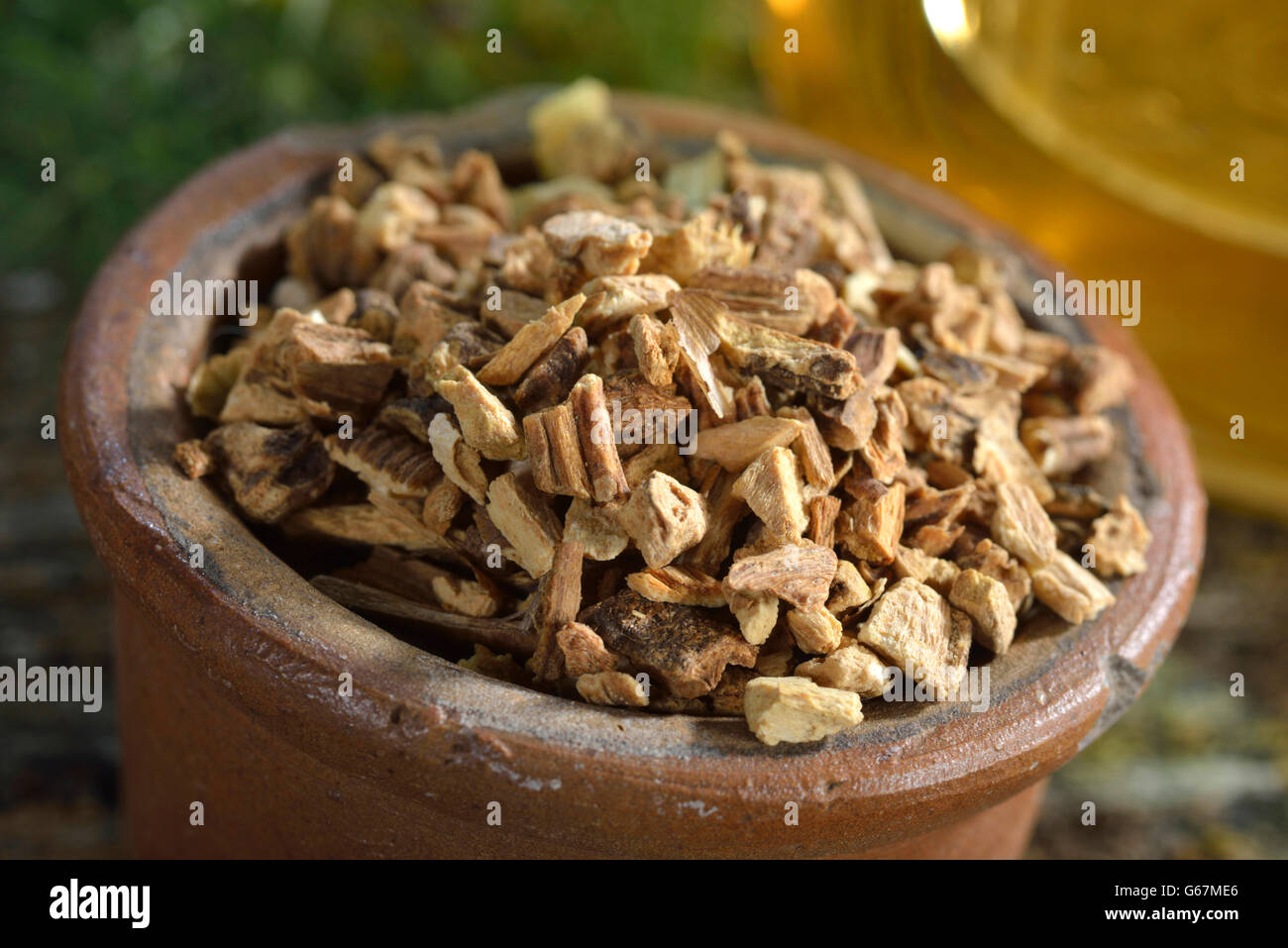 Enzianae radix -Fotos und -Bildmaterial in hoher Auflösung – Alamy