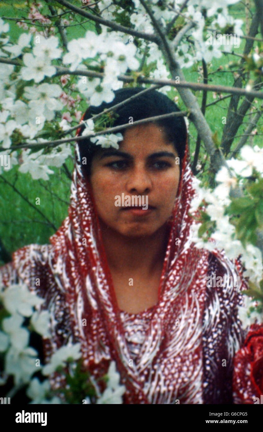 Abas amini -Fotos und -Bildmaterial in hoher Auflösung – Alamy