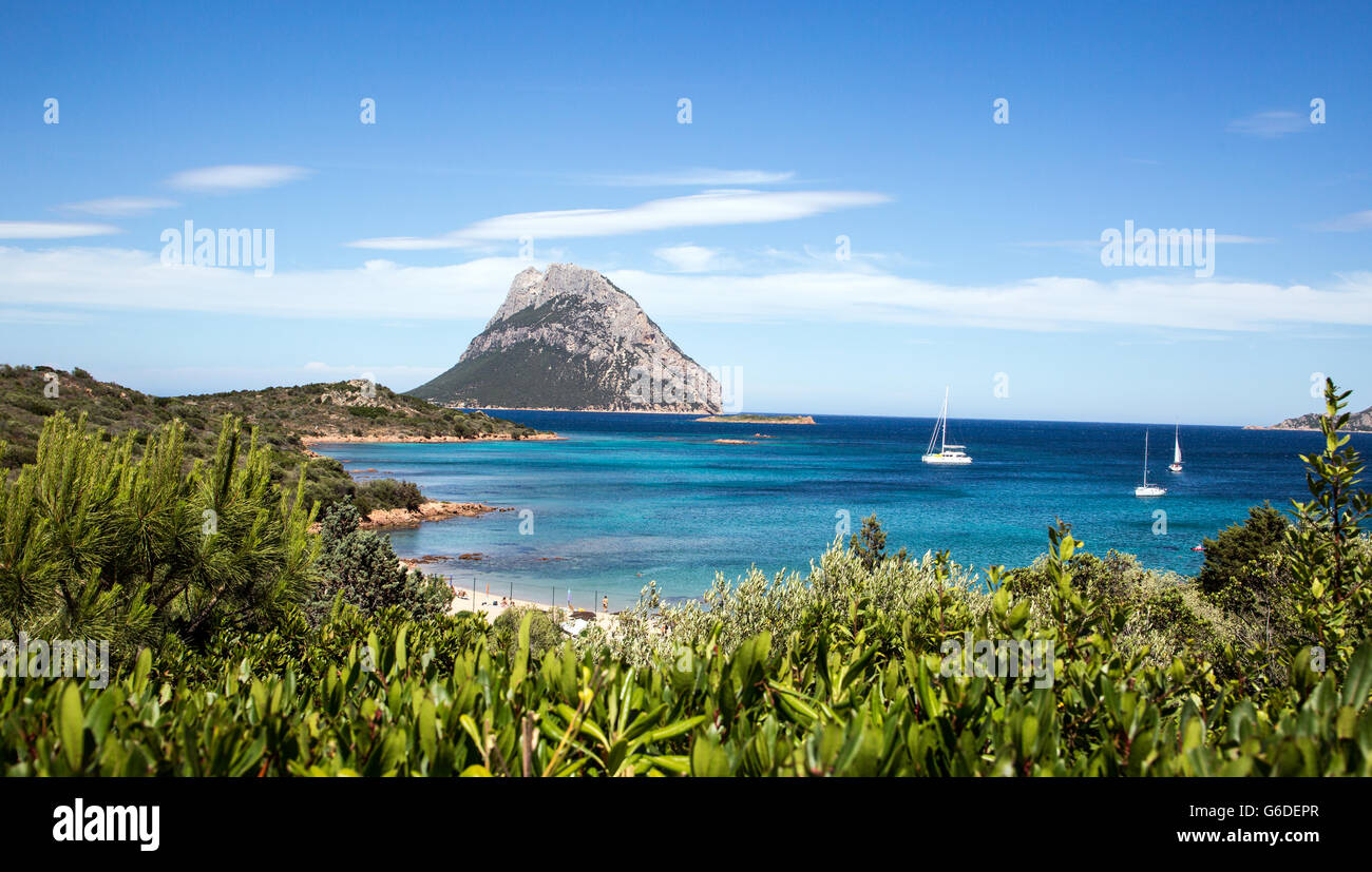 Tavolara insel -Fotos und -Bildmaterial in hoher Auflösung – Alamy