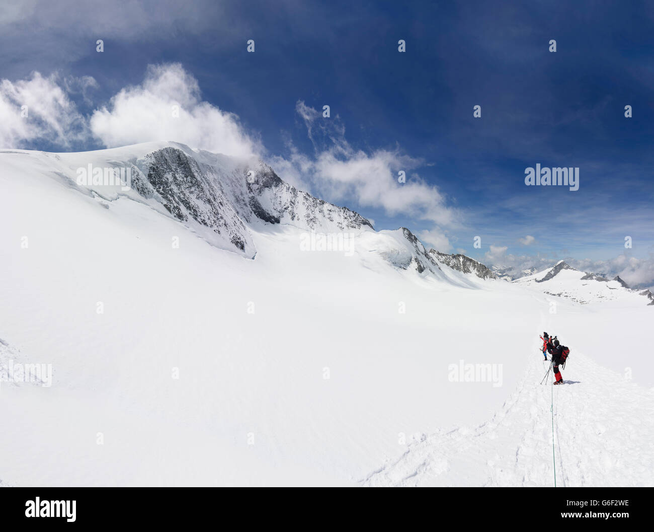 Seilschaft über den Gletscher bis zum Gipfel des Großvenedigers (Mitte ...