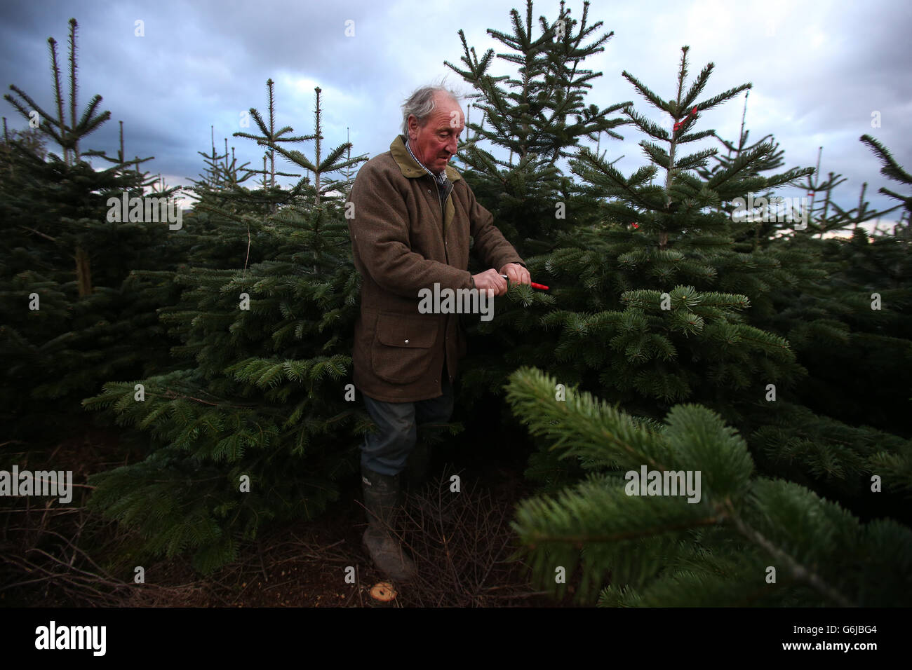 Geoff Marston, Farm Manager bei Stockeld, formt das ganze Jahr über die ...