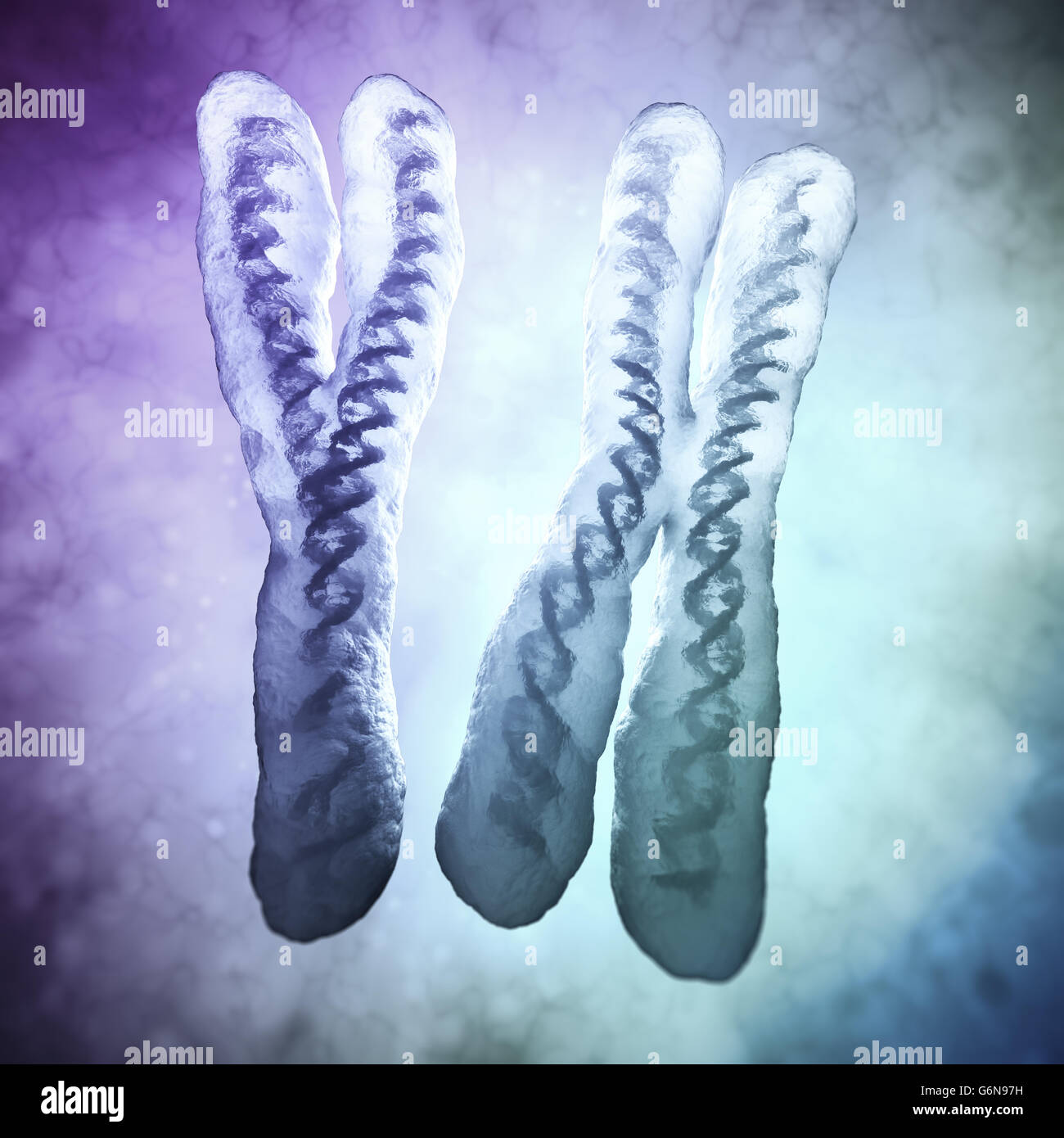Dna forschung genom chromosomen -Fotos und -Bildmaterial in hoher ...