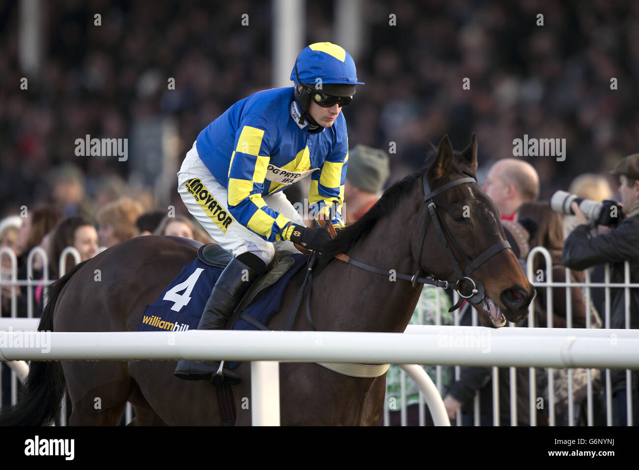 Pferderennen - 2013 William Hill Yorkshire Winter Festival - Erster Tag ...