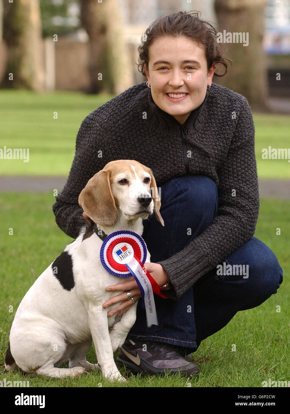 Hunderosette mit sitzenden tieren janine skelton -Fotos und ...