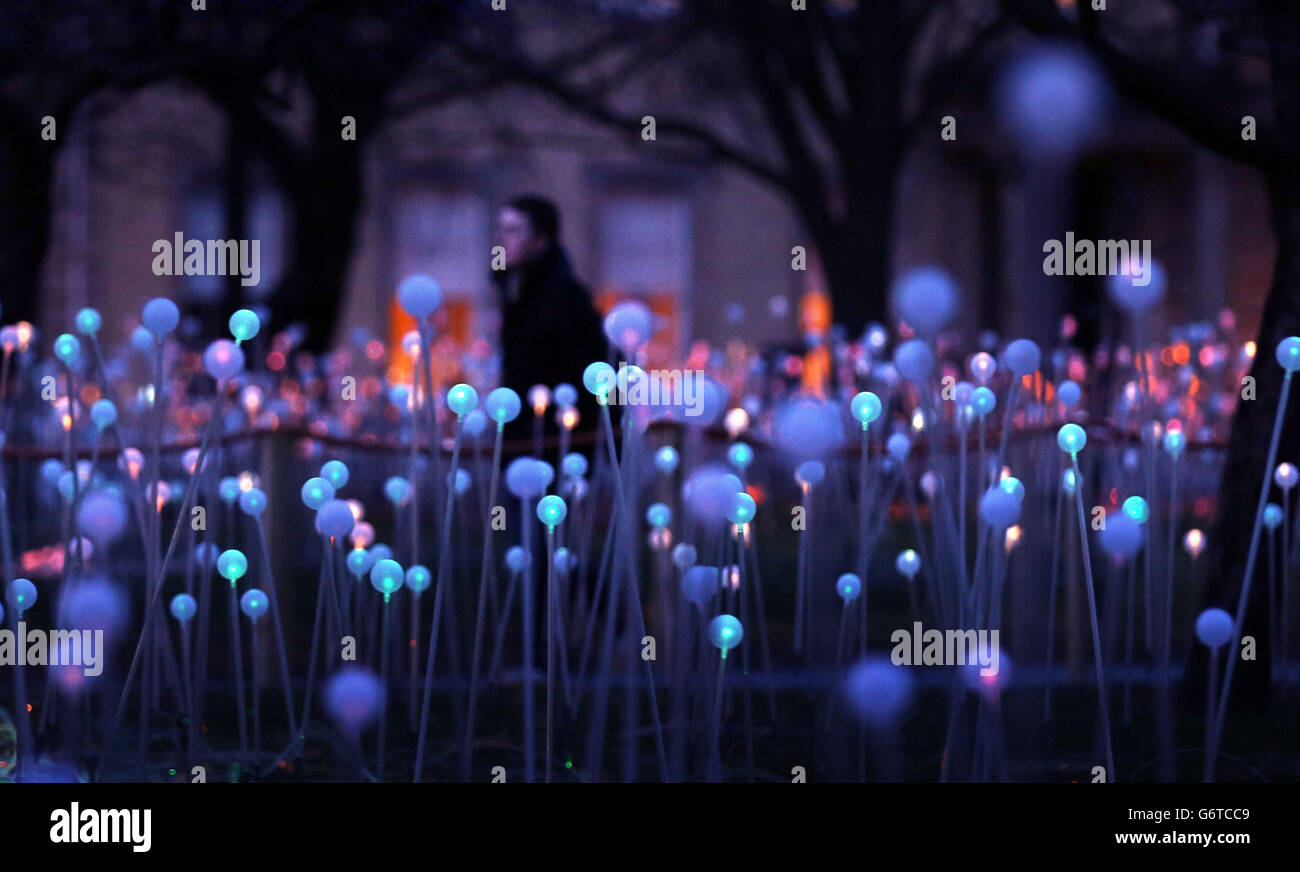 Bruce munro -Fotos und -Bildmaterial in hoher Auflösung – Alamy