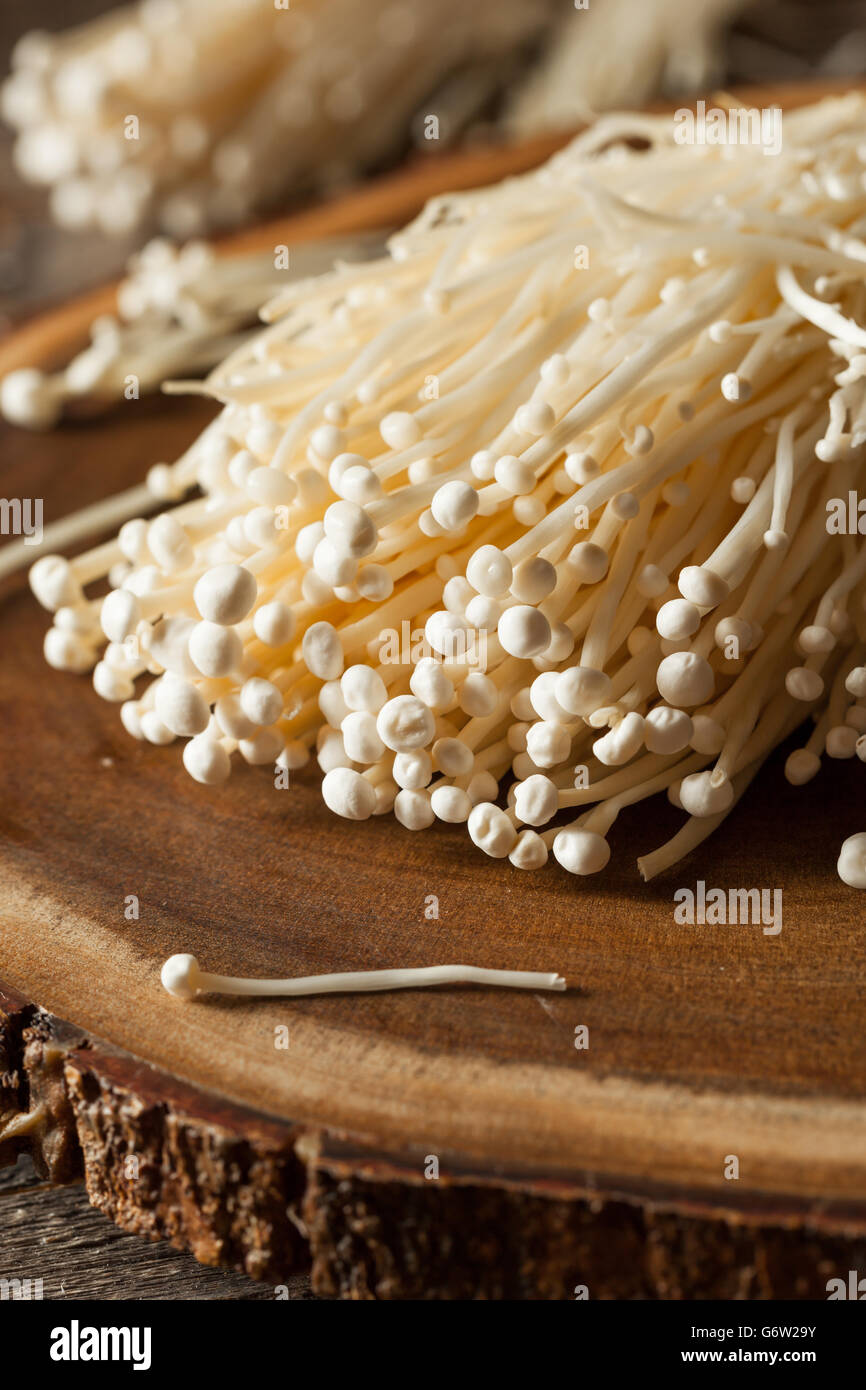 Weiße enoki pilze -Fotos und -Bildmaterial in hoher Auflösung – Alamy
