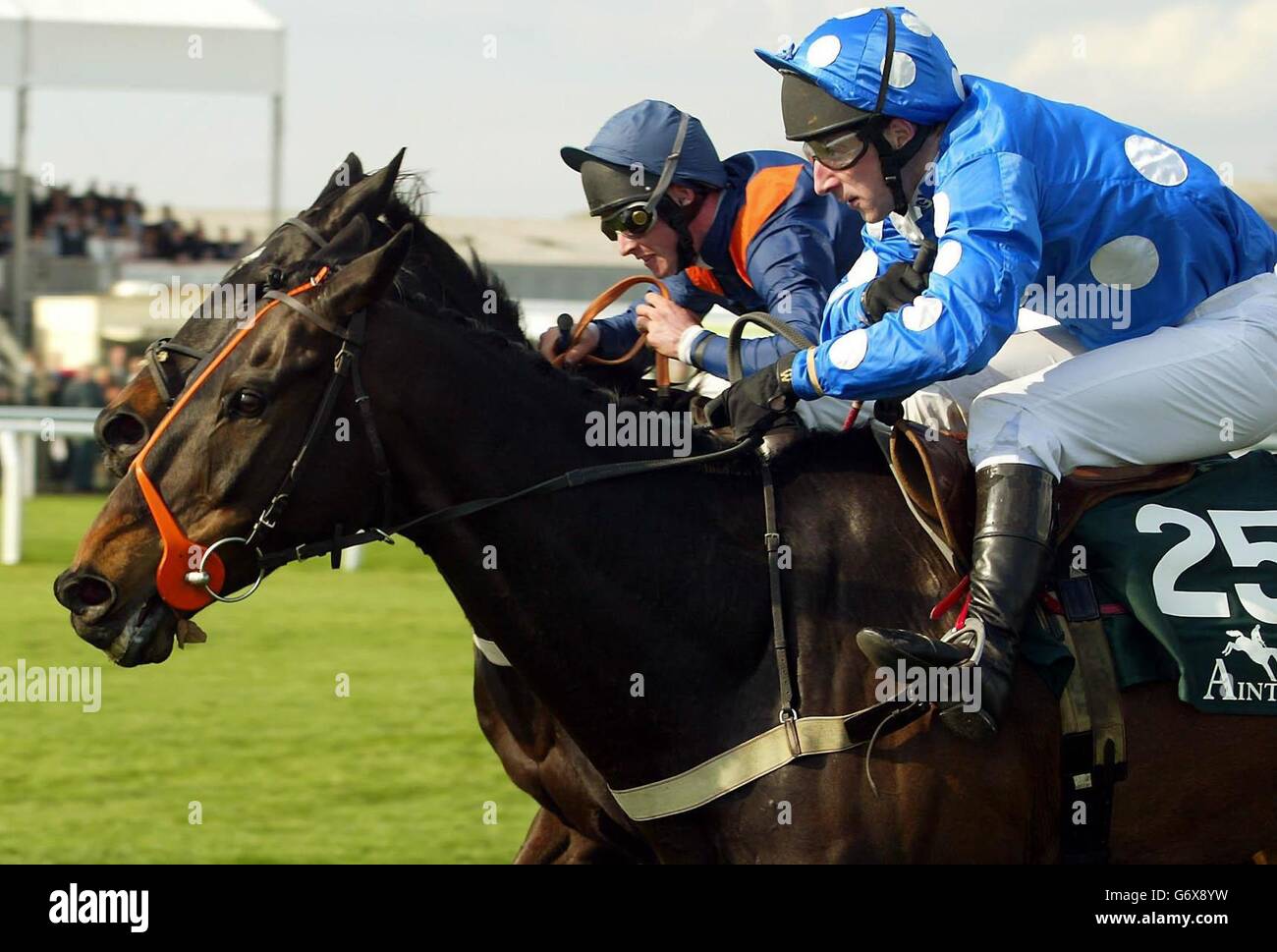 Martell Cogna Topham Steeple Chase Stockfotografie - Alamy