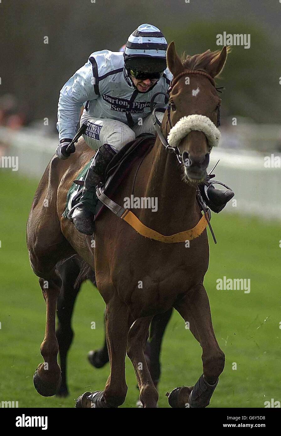 Moos harvey -Fotos und -Bildmaterial in hoher Auflösung – Alamy