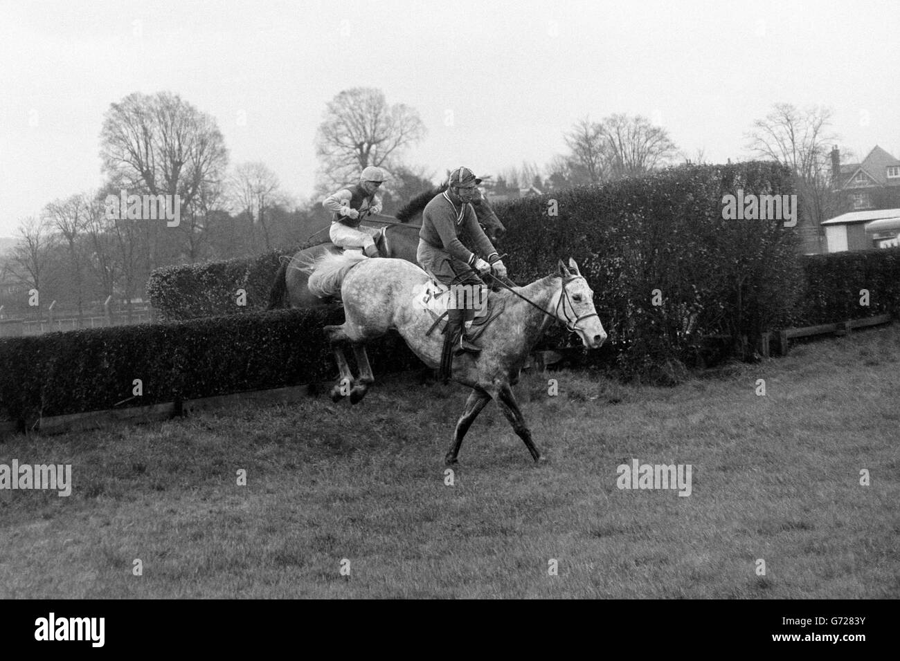 Stalbridge park -Fotos und -Bildmaterial in hoher Auflösung – Alamy