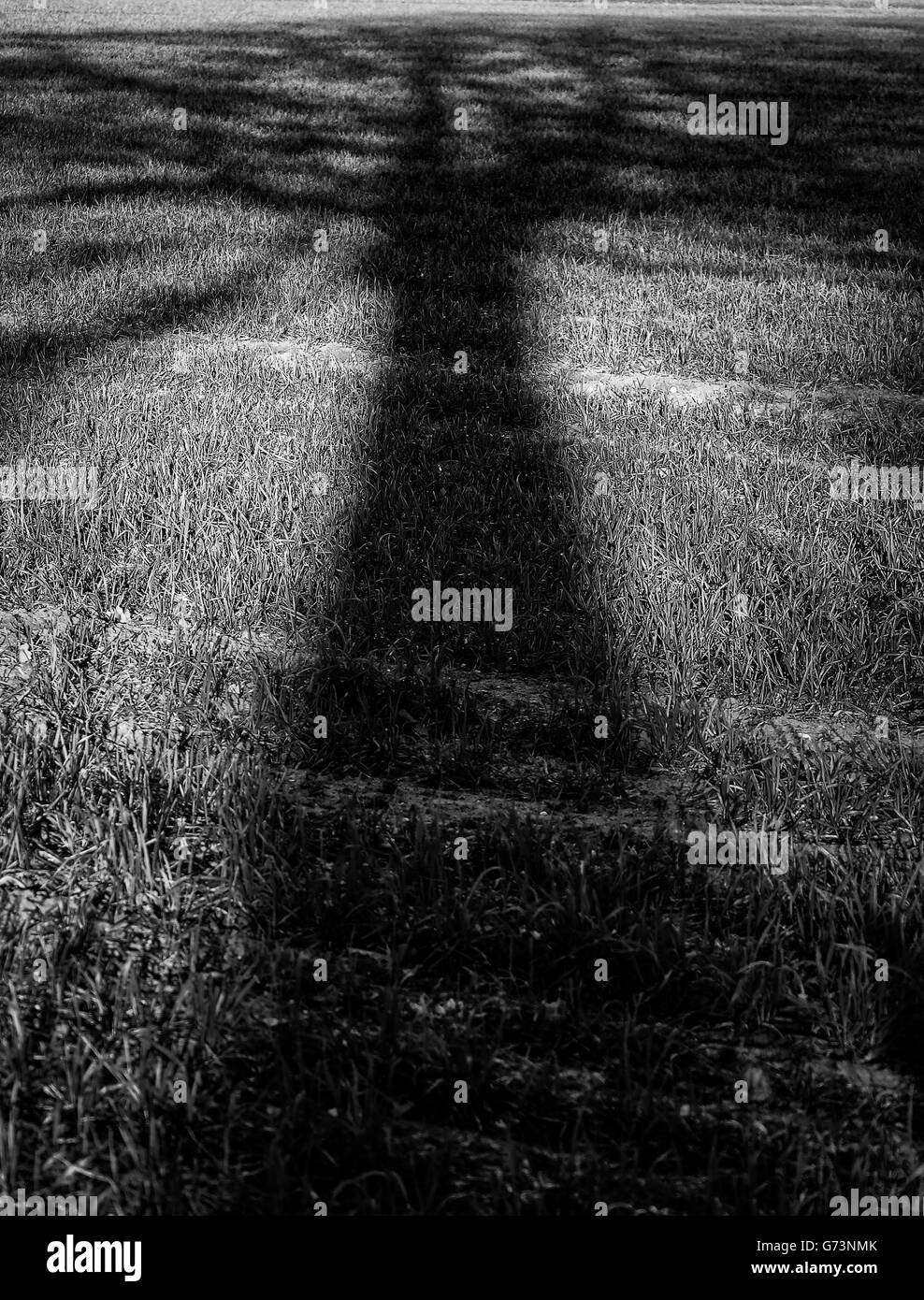 Lange baumschatten -Fotos und -Bildmaterial in hoher Auflösung – Alamy