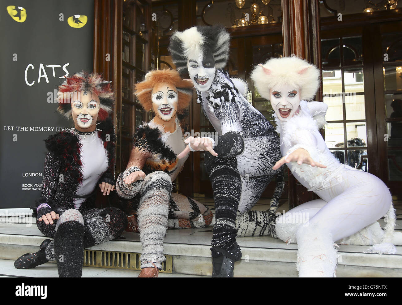 Cats musical -Fotos und -Bildmaterial in hoher Auflösung – Alamy
