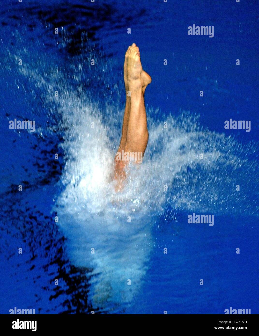 Der Engländer Leon Taylor tritt im 10 m hohen Vorlauf der Commonwealth ...