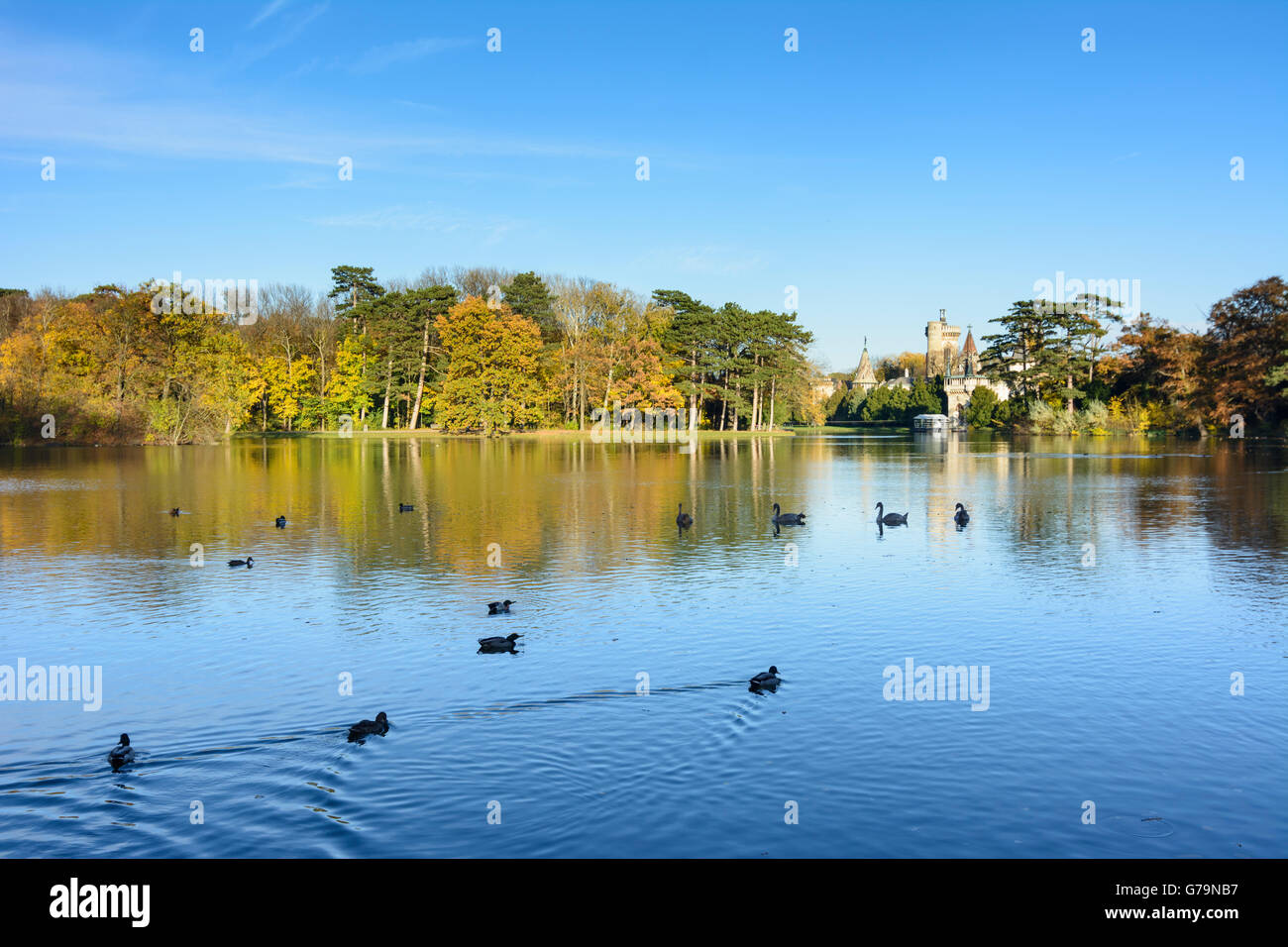 Schloss Franzensburg Im Park Schlosspark Laxenburg Stockfotos und ...