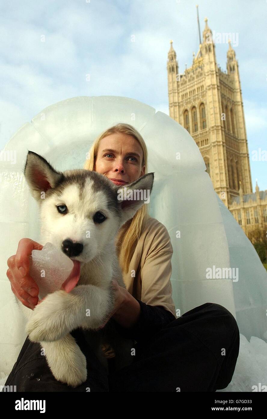 Wwf london bewusstsein -Fotos und -Bildmaterial in hoher Auflösung – Alamy