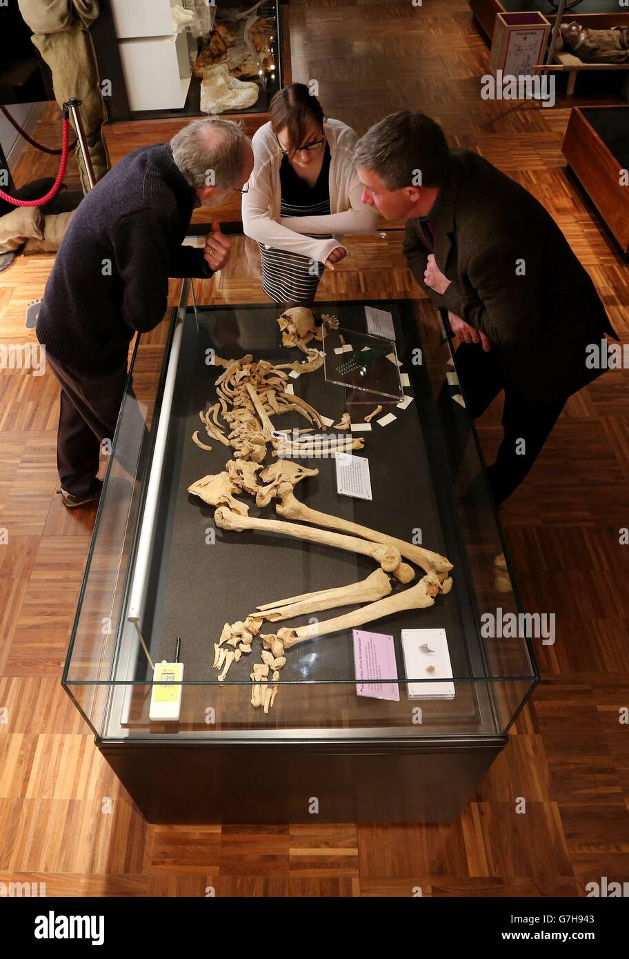 Skelett bekanntes racton man novium museum in chichester -Fotos und ...