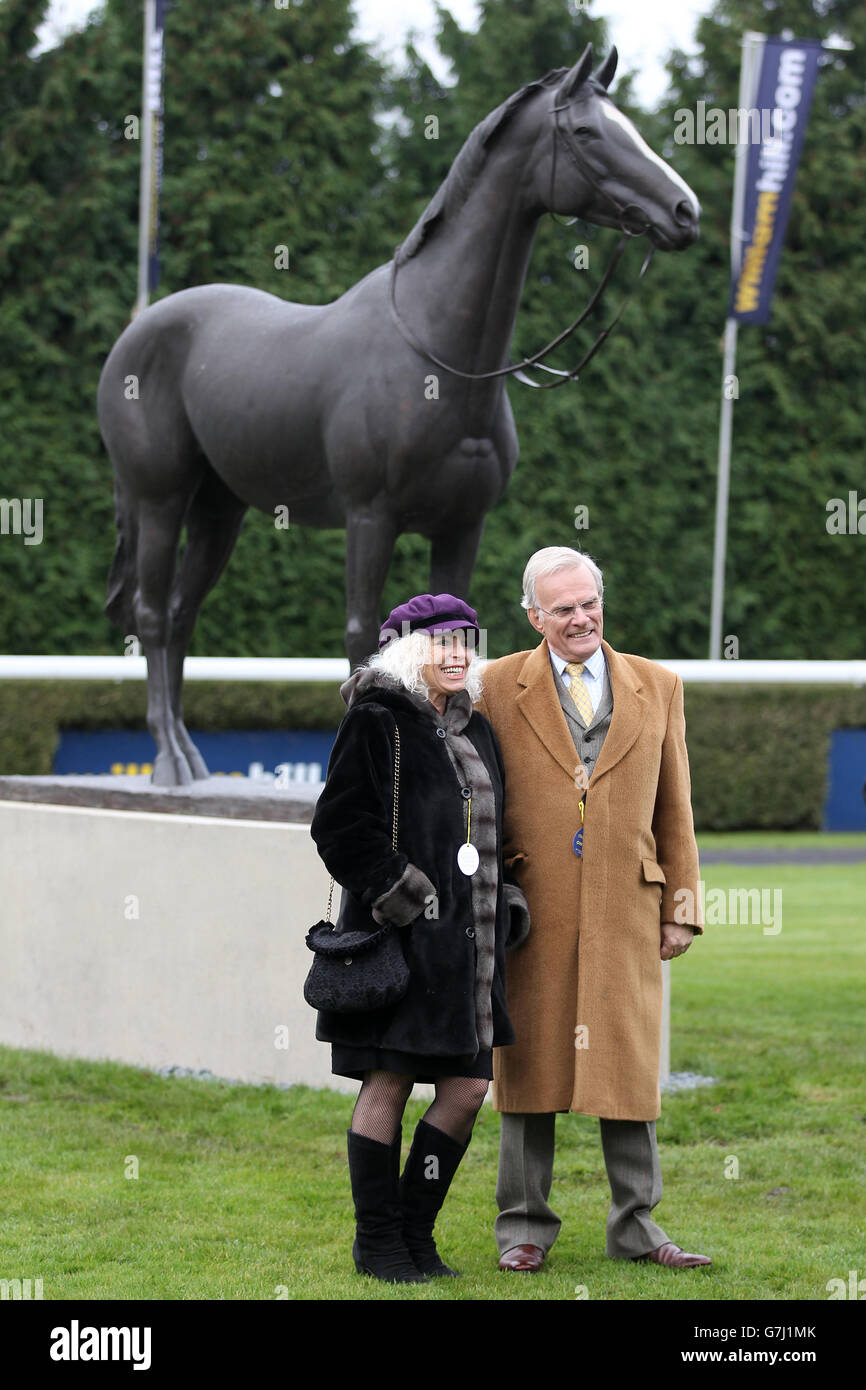 Pferderennen - 2014 William Hill Winter Festival - Tag 1 - Kempton Park ...
