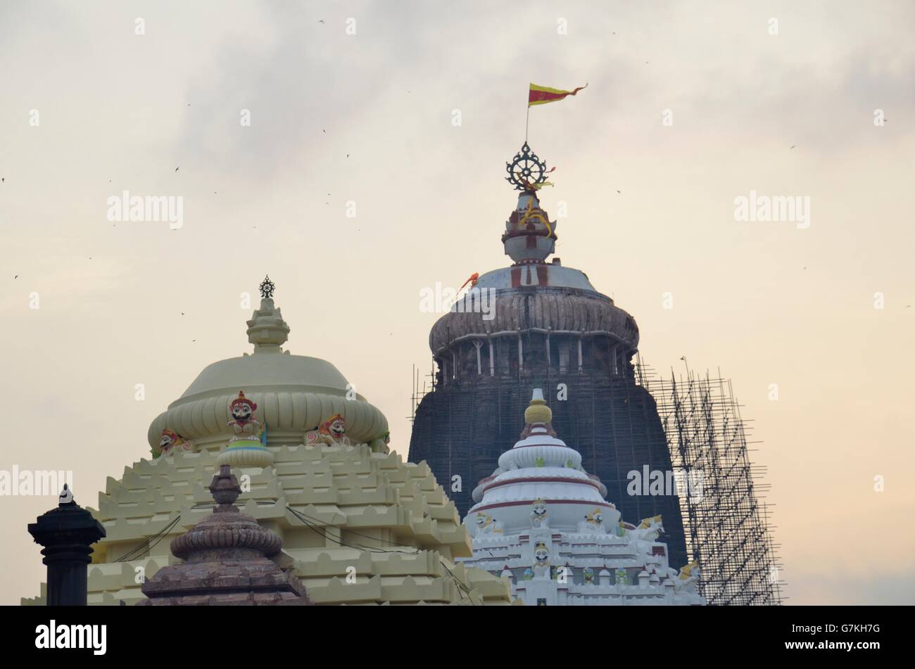 India puri jagannath temple -Fotos und -Bildmaterial in hoher Auflösung ...