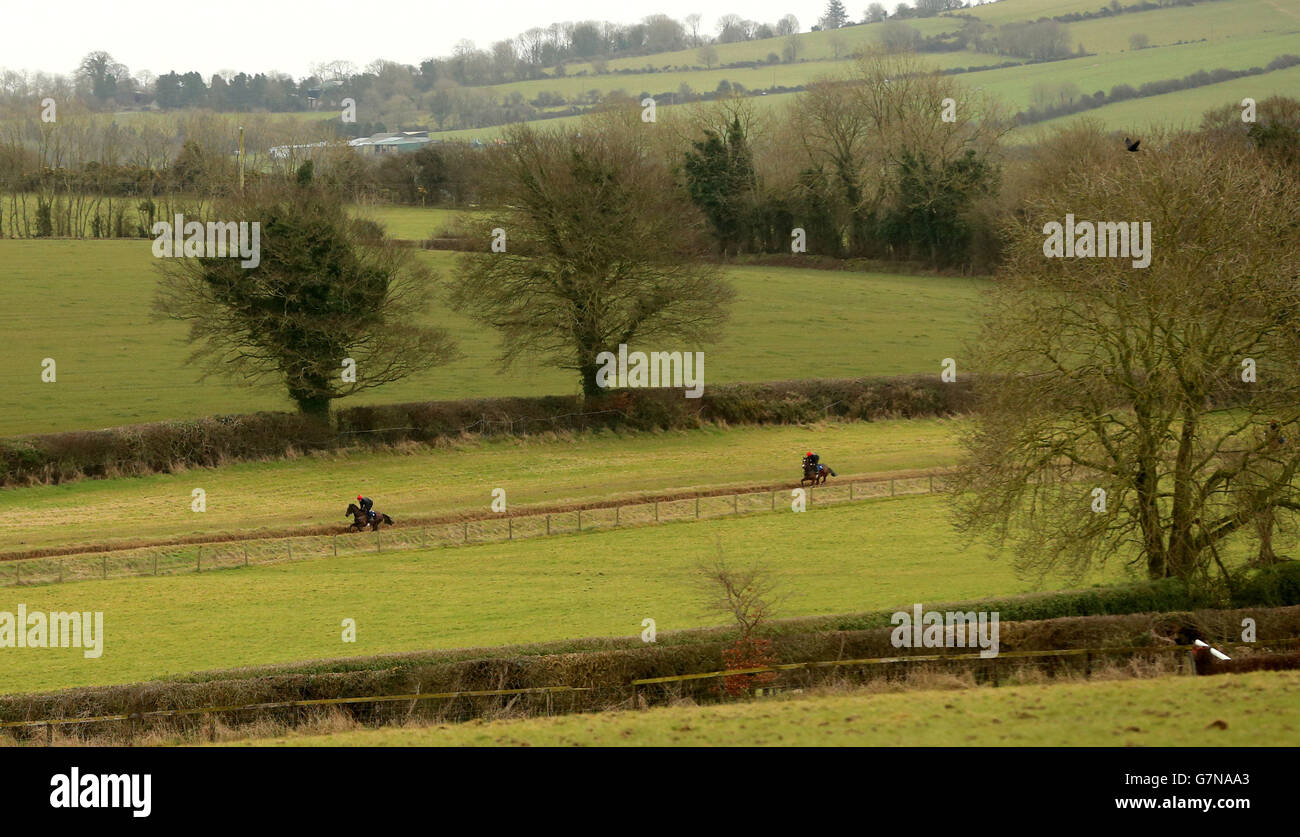 L-R Jetson und Jockey Eadaoin Byrne und Jezki sowie Jockey Mark Bolger ...
