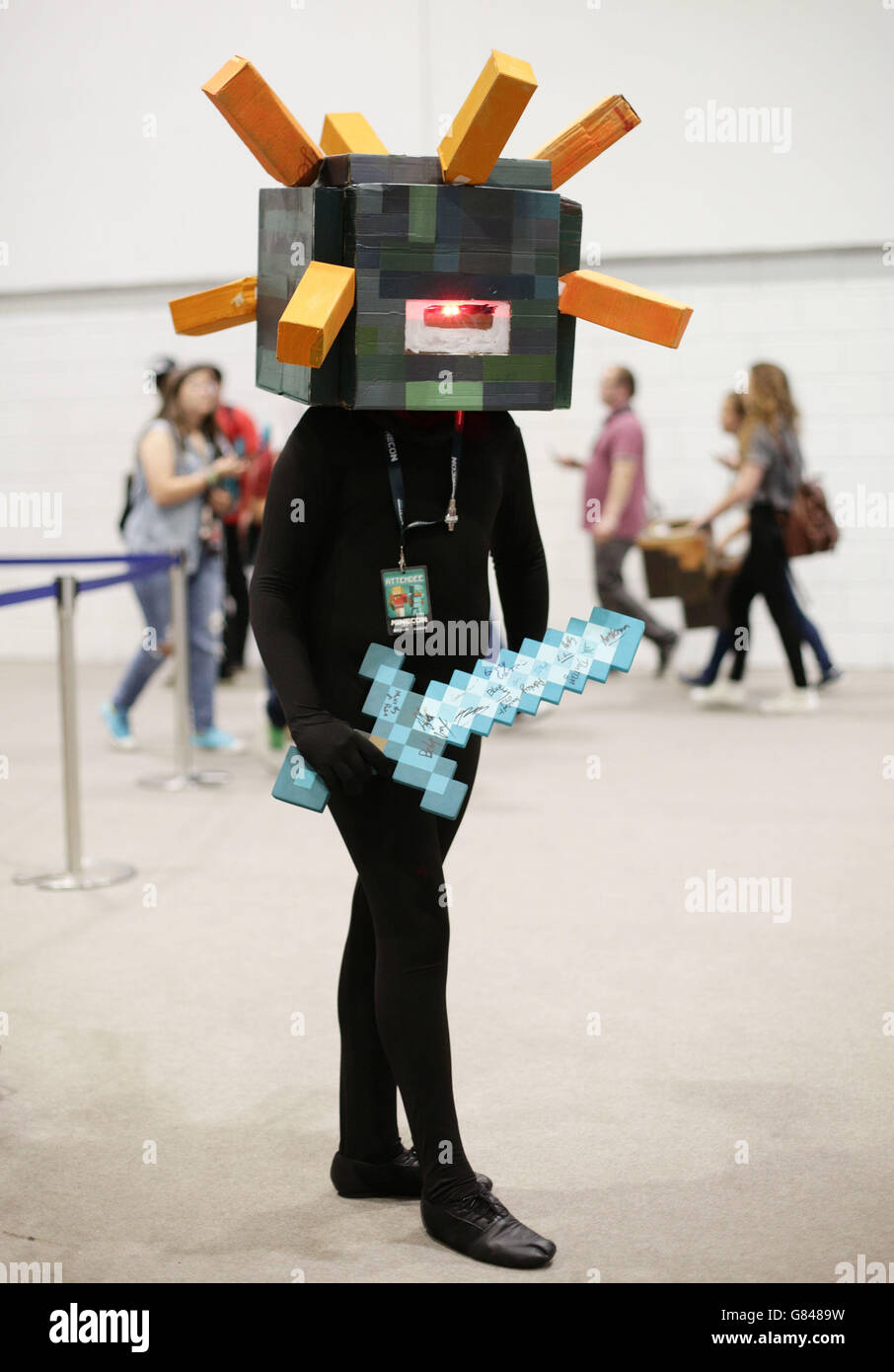 Minecraft minecon excel -Fotos und -Bildmaterial in hoher Auflösung – Alamy