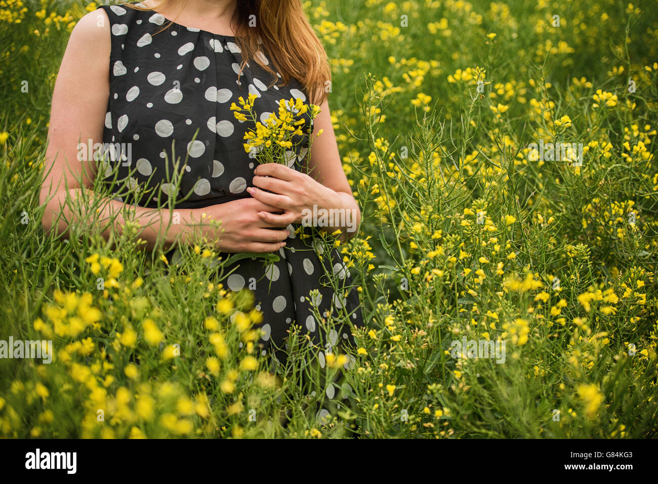Field of yellow flowers -Fotos und -Bildmaterial in hoher Auflösung – Alamy