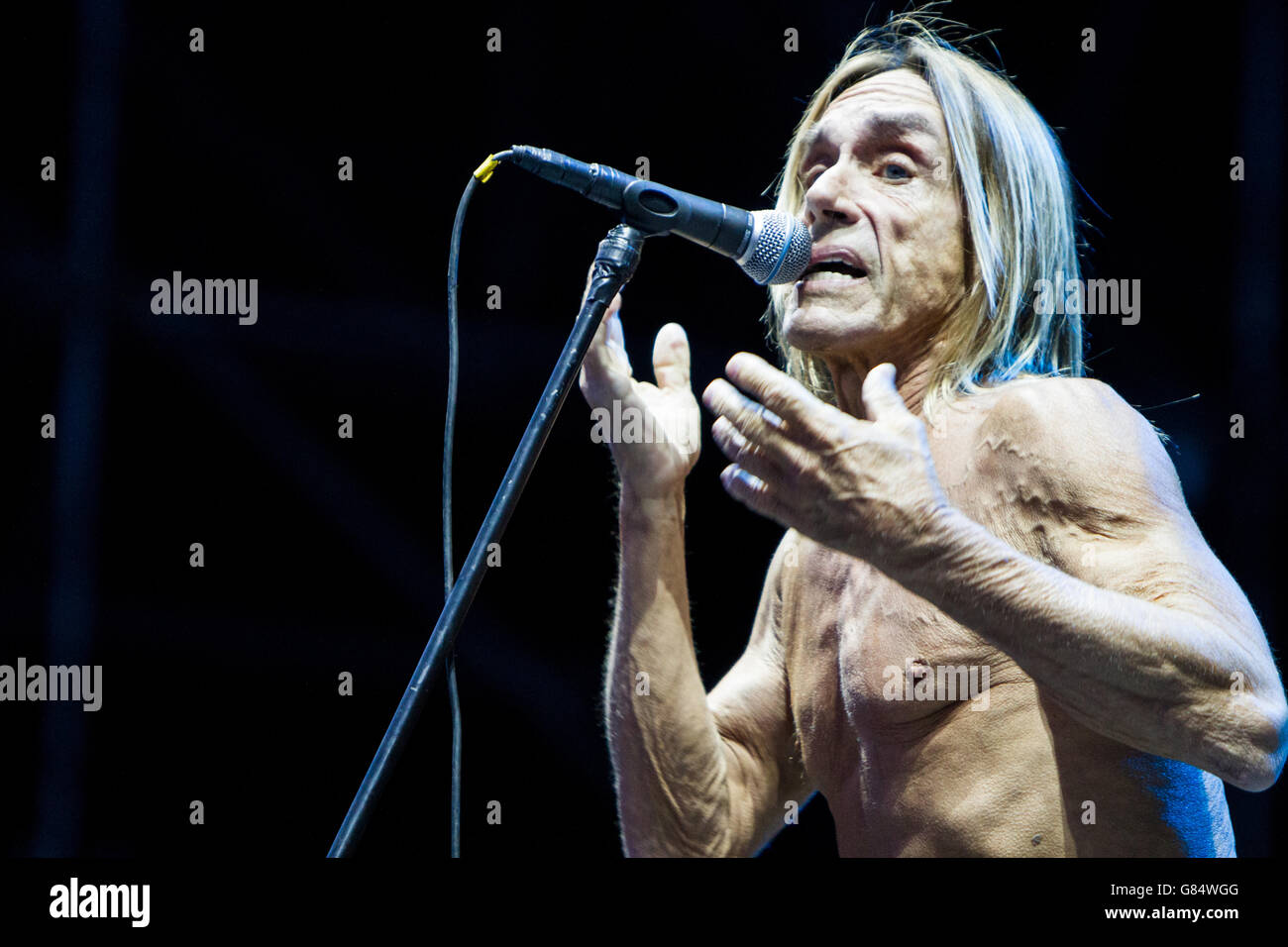 Iggy pop band iggy stooges -Fotos und -Bildmaterial in hoher Auflösung ...