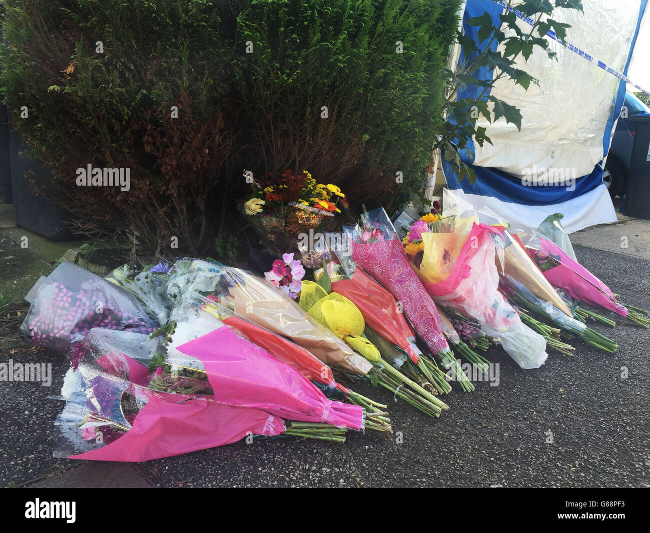 Hertfordshire nicole cross -Fotos und -Bildmaterial in hoher Auflösung ...