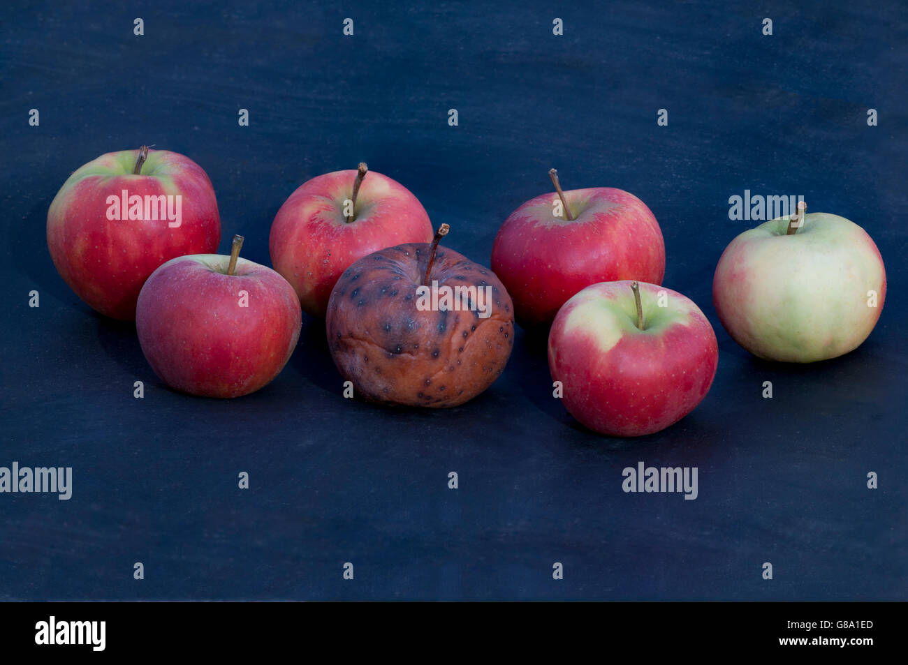 Eins sechs -Fotos und -Bildmaterial in hoher Auflösung – Alamy