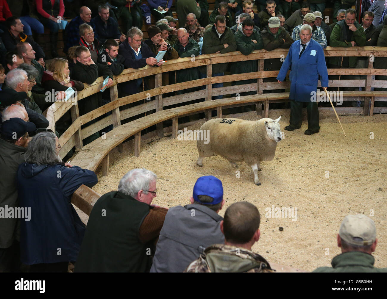 Vereinigte auktion großer jahresverkauf -Fotos und -Bildmaterial in ...