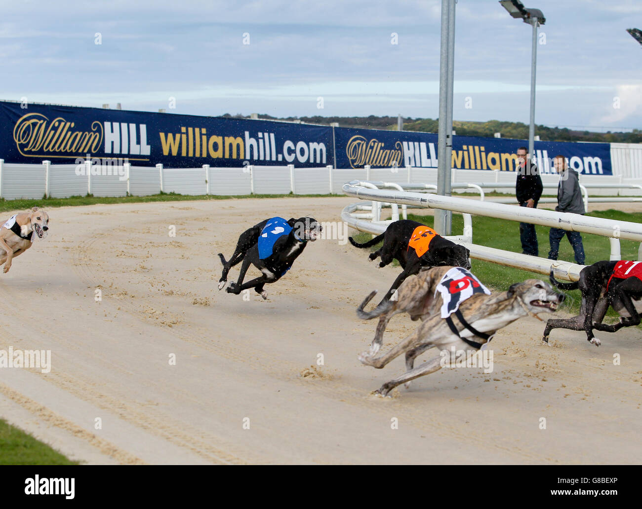 Sunderland greyhound stadion -Fotos und -Bildmaterial in hoher ...