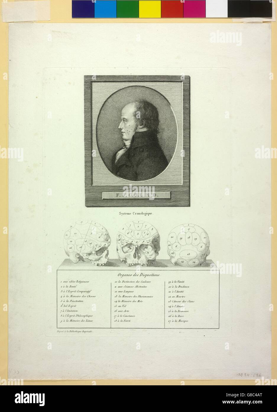 Porträt von franz josef gall -Fotos und -Bildmaterial in hoher ...