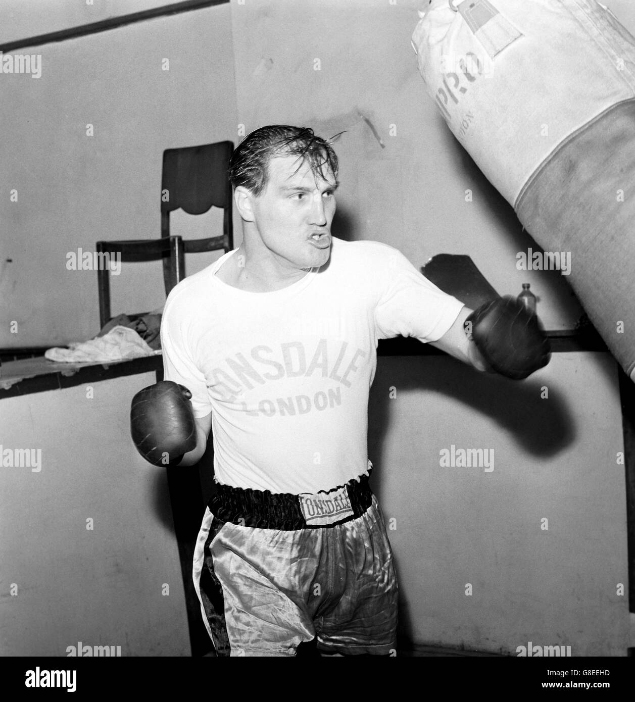 Boxer jack -Fotos und -Bildmaterial in hoher Auflösung – Alamy