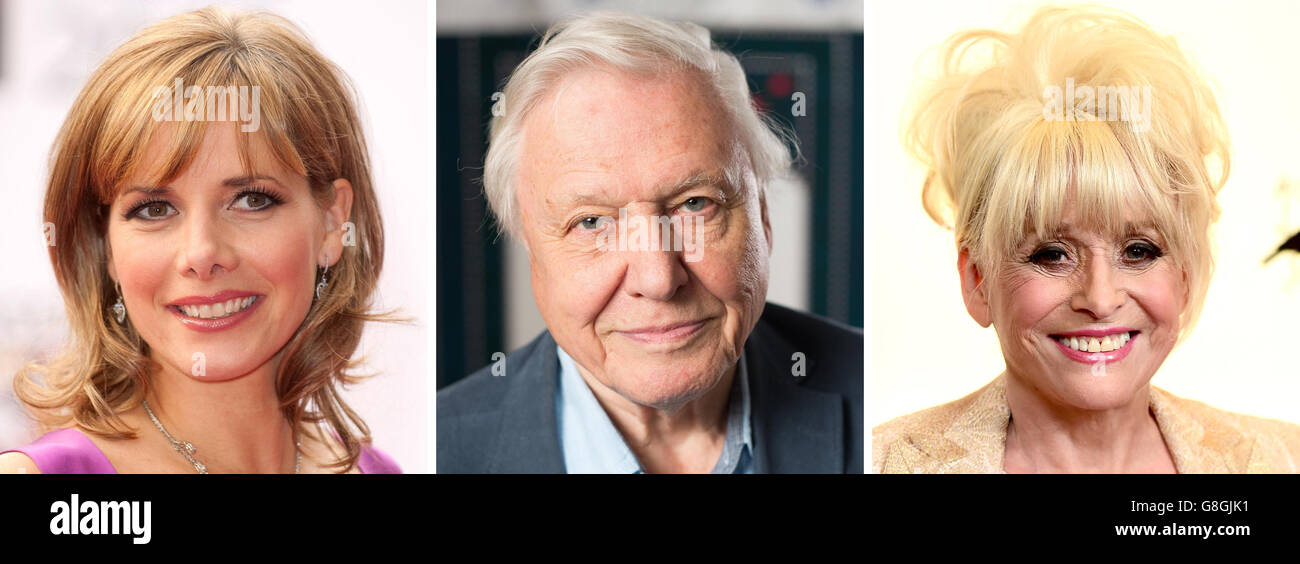 David bussell -Fotos und -Bildmaterial in hoher Auflösung – Alamy