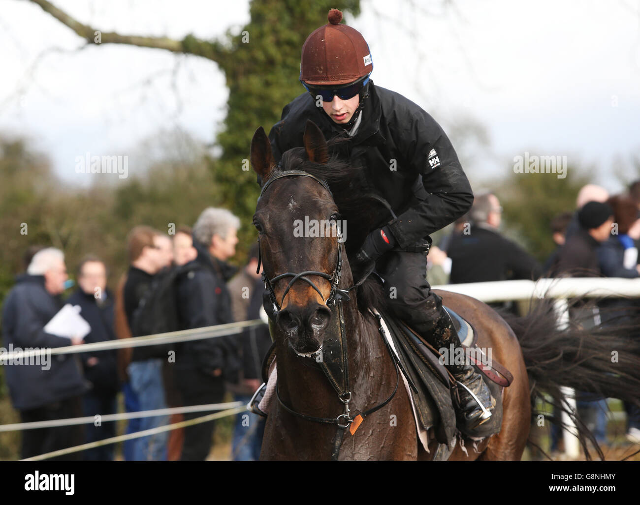 Kein bryan im galopp besucht elliotts stall cullentra house -Fotos und ...