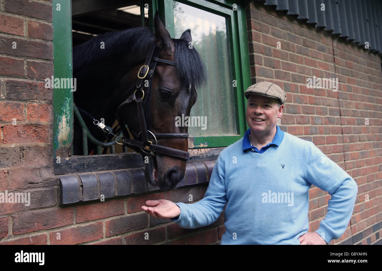 Trainer clive cox stall besuchen beechdown farm -Fotos und ...