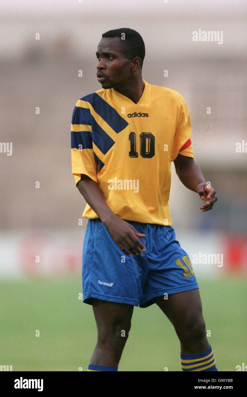 Simba congo -Fotos und -Bildmaterial in hoher Auflösung – Alamy