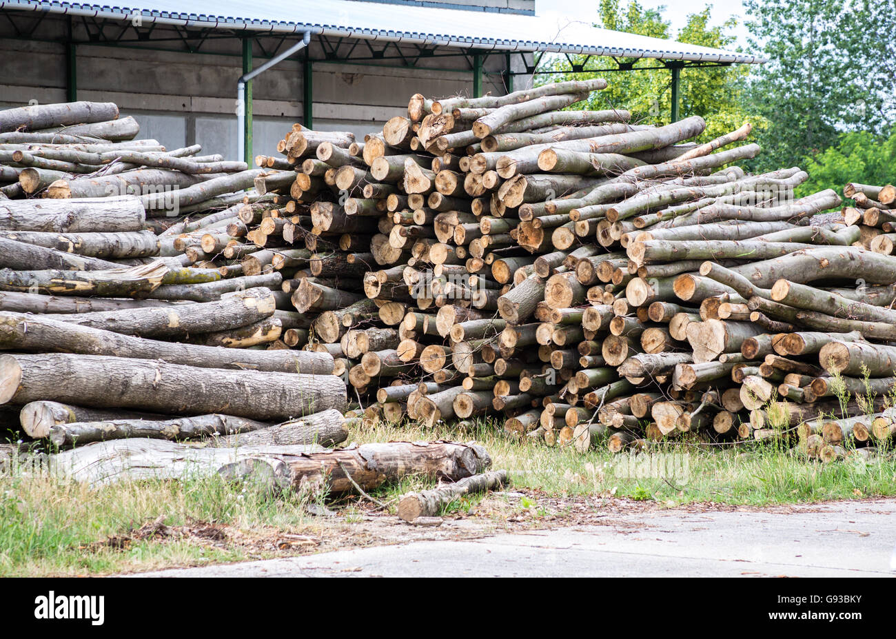 Alter holzhaufen -Fotos und -Bildmaterial in hoher Auflösung – Alamy