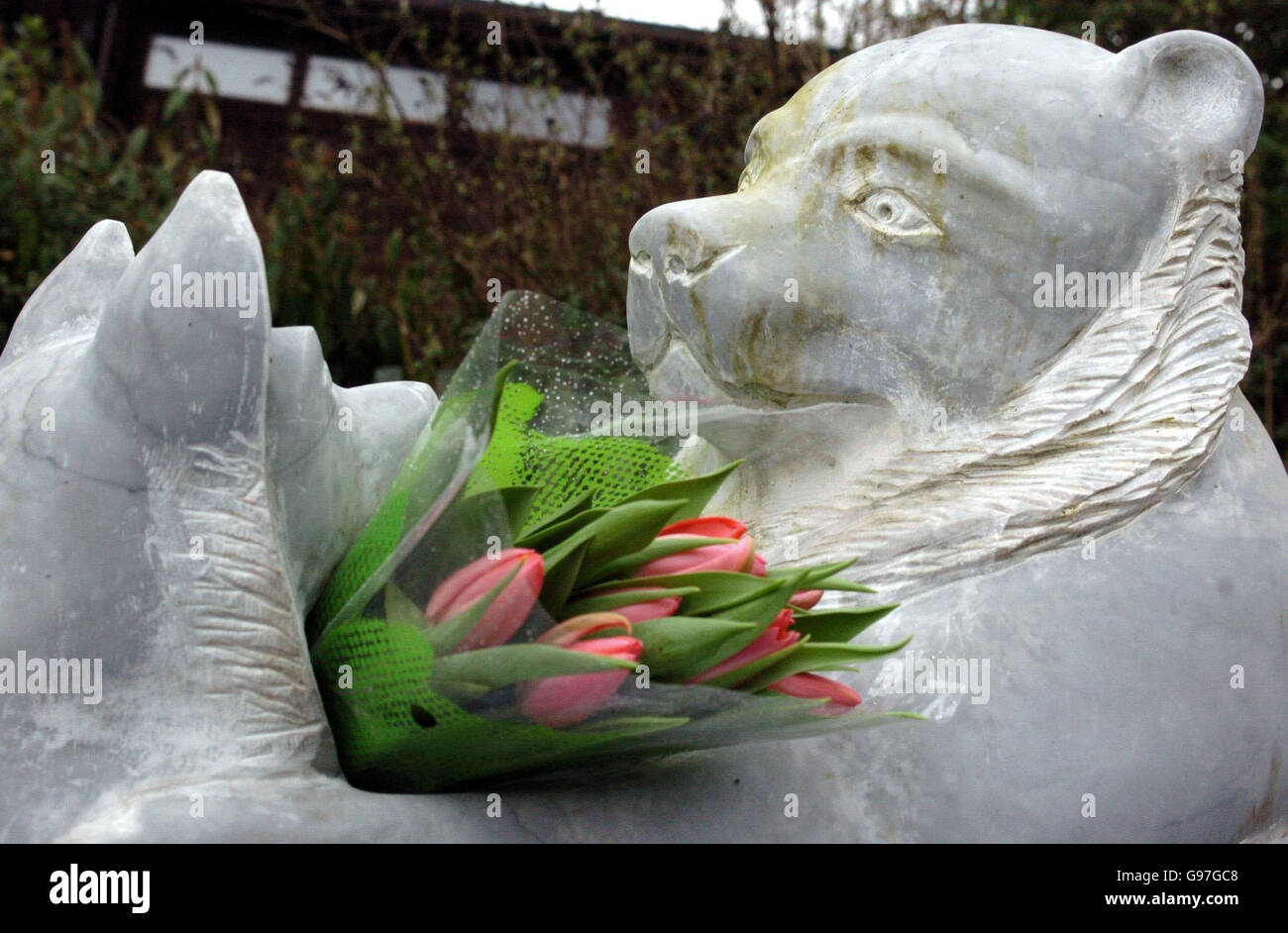 Dunblane schulkinder -Fotos und -Bildmaterial in hoher Auflösung – Alamy