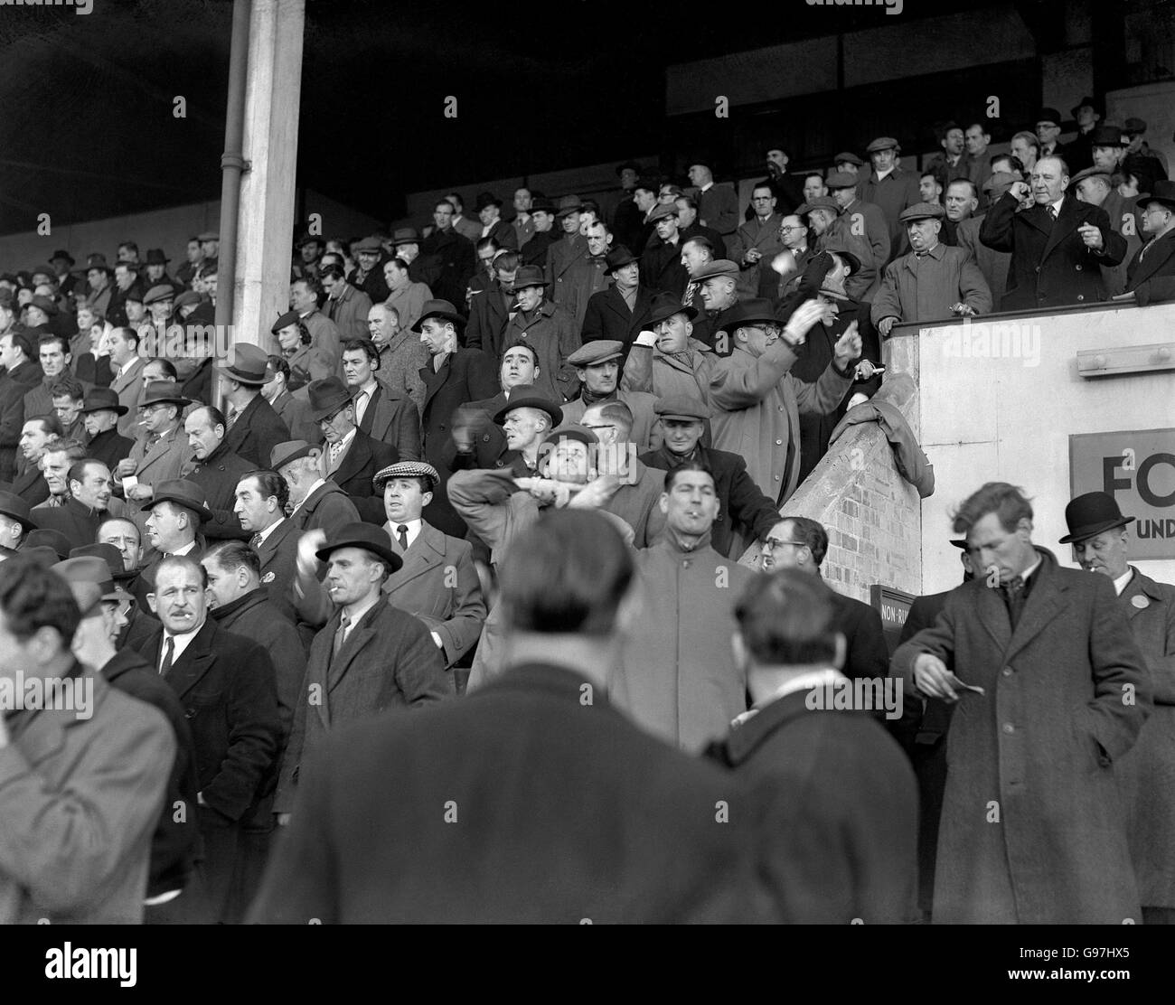 Hackney greyhound rennstadion -Fotos und -Bildmaterial in hoher ...