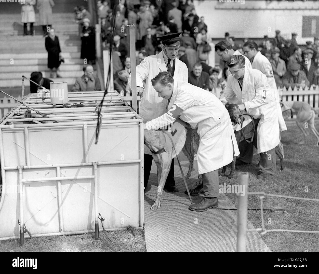 Hackney greyhound rennstadion -Fotos und -Bildmaterial in hoher ...