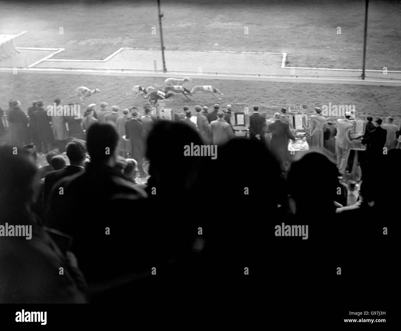 Hackney greyhound rennstadion -Fotos und -Bildmaterial in hoher ...