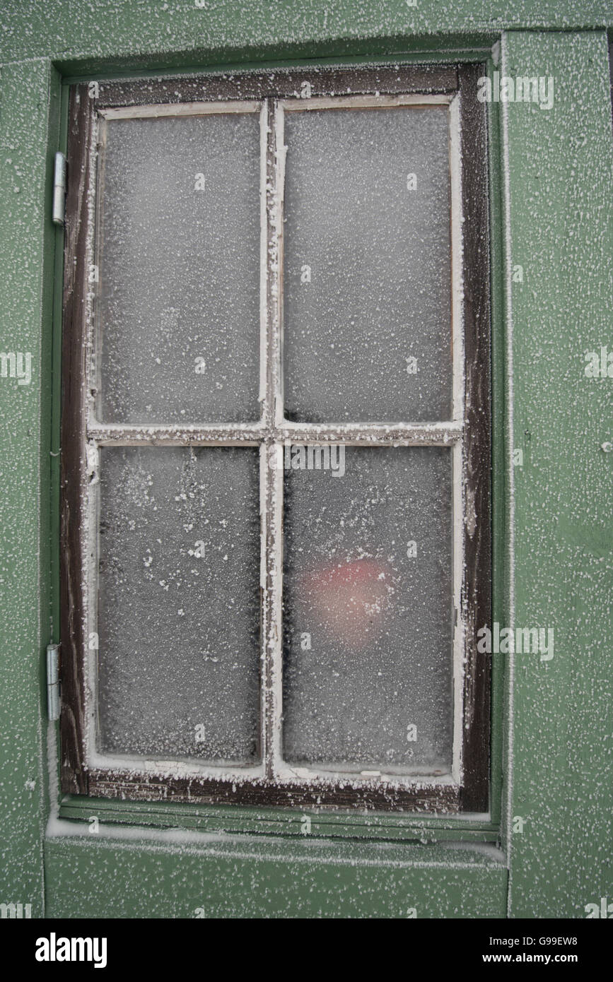 Menschen, Homo sapiens) sind die einzigen lebenden Mitglieder der ...