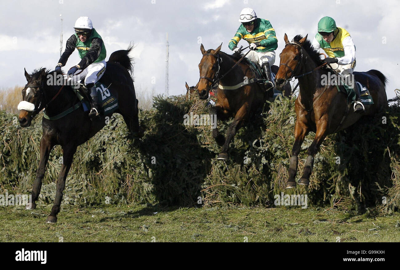 Numbersixvalverde mit Niall Madden (L) springt den letzten Zaun auf ...