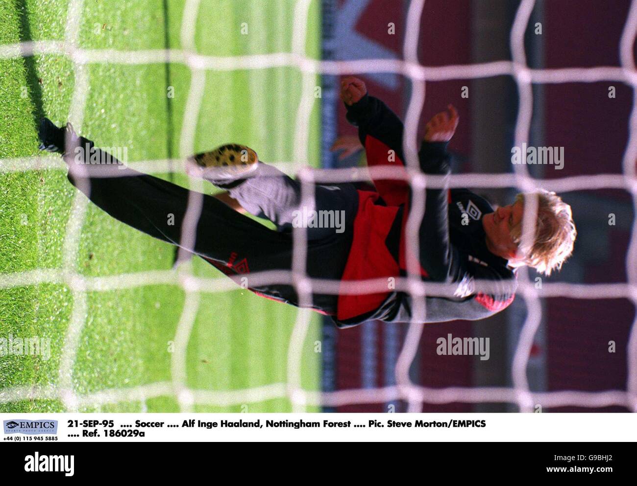 Alf Inge Haaland Stockfotos und -bilder Kaufen - Alamy