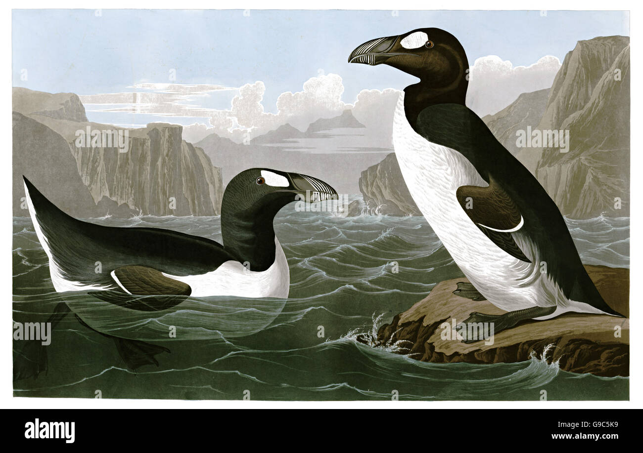 Ausgestorbene familie -Fotos und -Bildmaterial in hoher Auflösung – Alamy