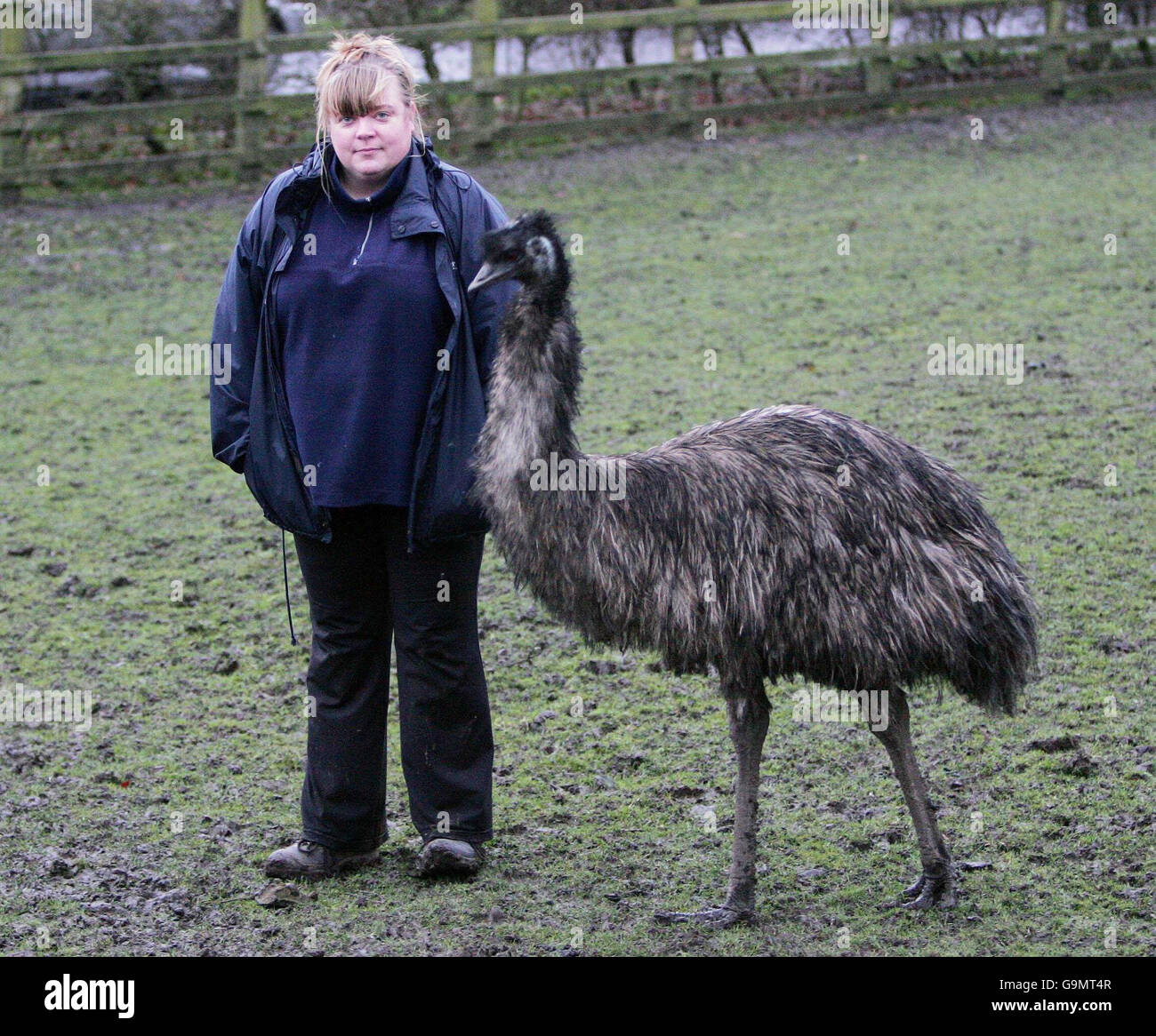Karen hamer mit penny der emu nach pennys mate stange -Fotos und ...