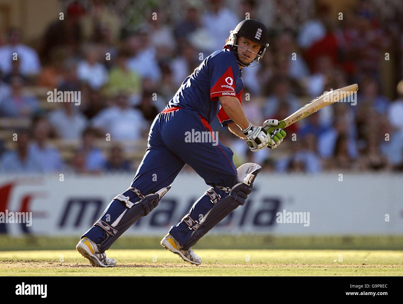 Cricket commonwealth bank eintagesserie adelaide oval -Fotos und -Bildmaterial in hoher ...